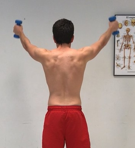 DEPARTAMENTO DE FISIOTERAPIA - Scaption Test - Universidad de Málaga