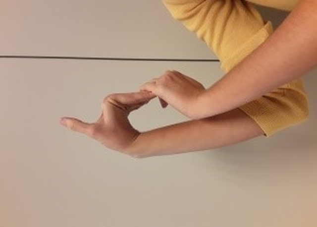 DEPARTAMENTO DE FISIOTERAPIA - Test de Beighton - Universidad de Málaga